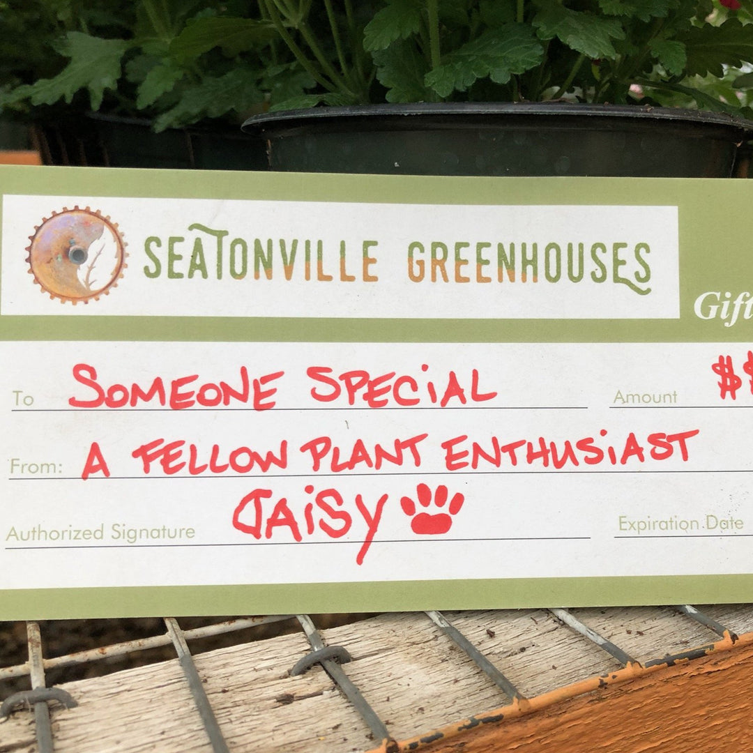 Tad's Tinkering Corner – Seatonville Greenhouses