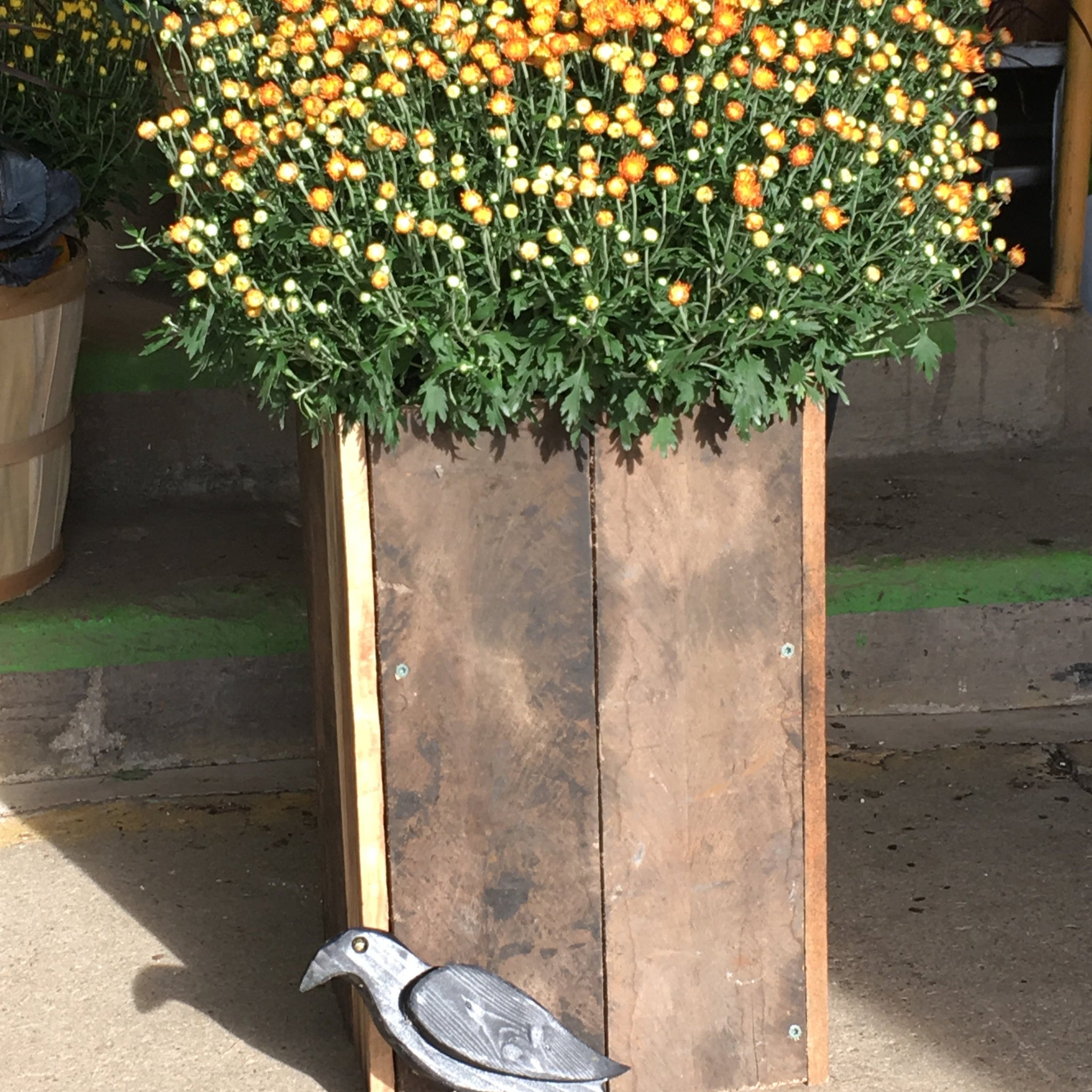 Tad's Tinkering Corner – Seatonville Greenhouses